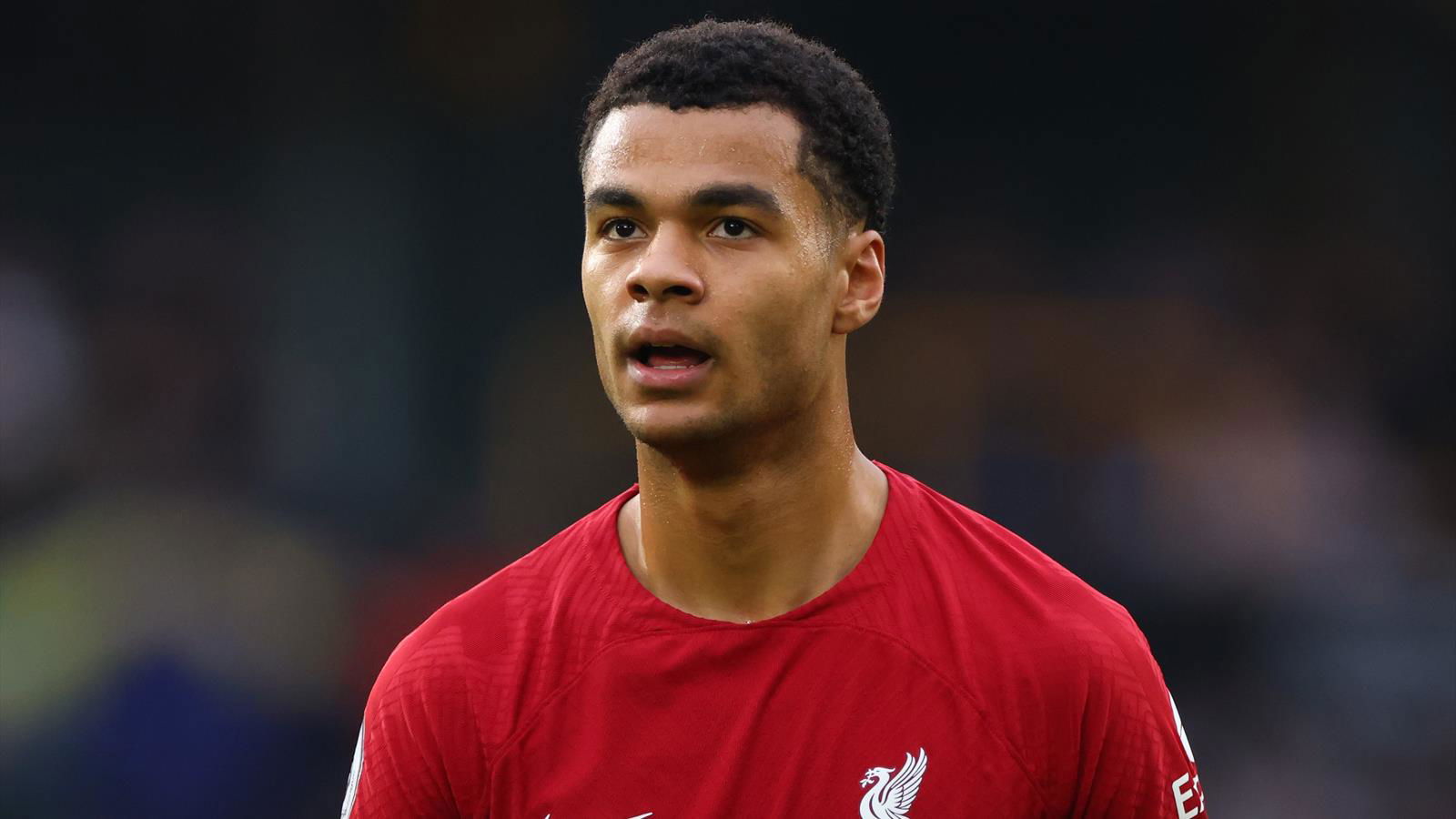 Liverpool's Cody Gakpo sustained a serious injury after Spurs loss